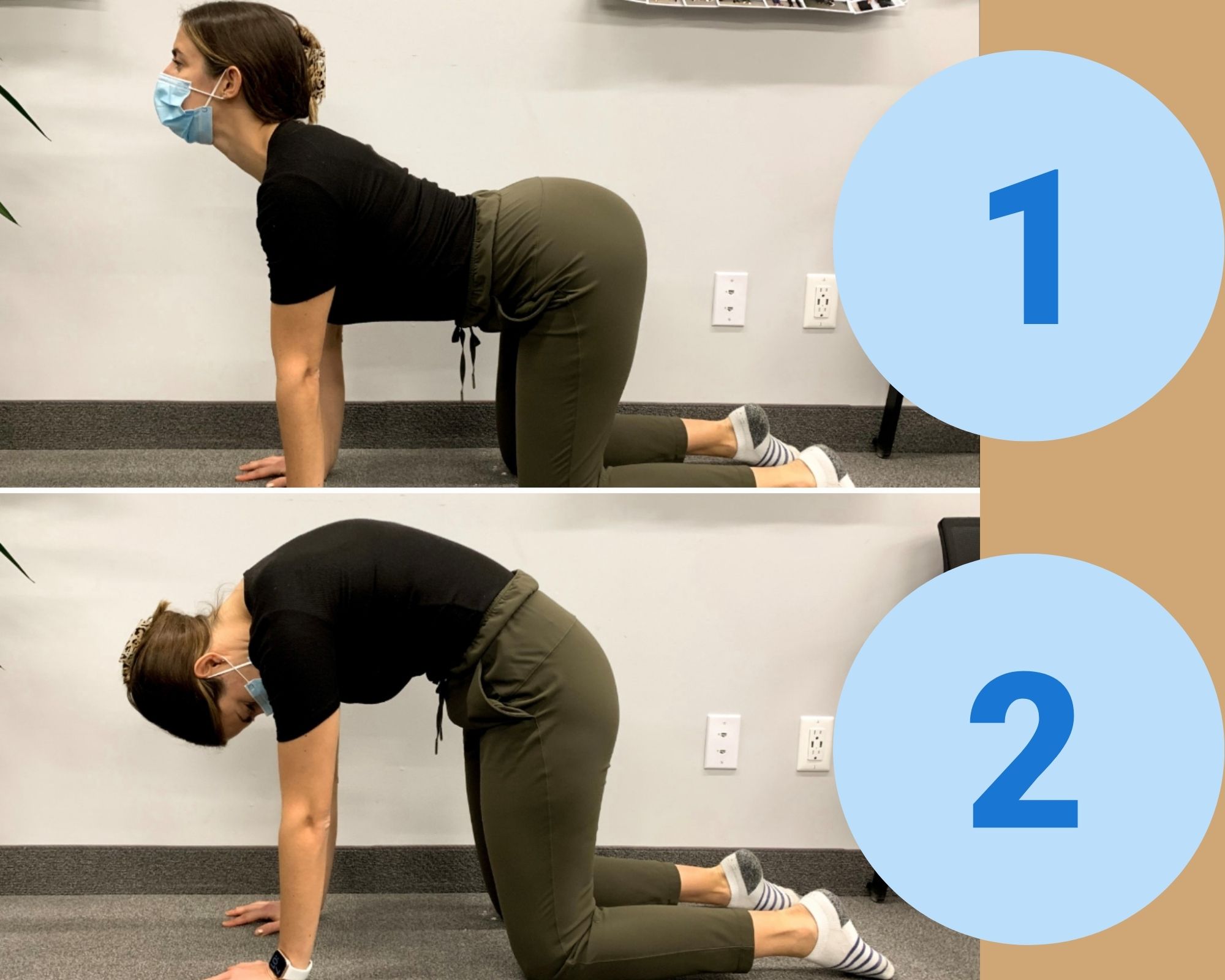 Upper Back Exercise